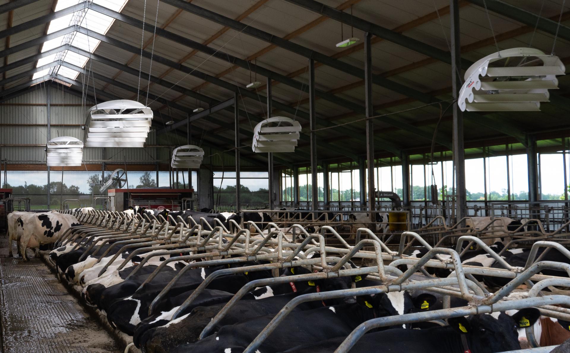 Windforce | Cowhouse