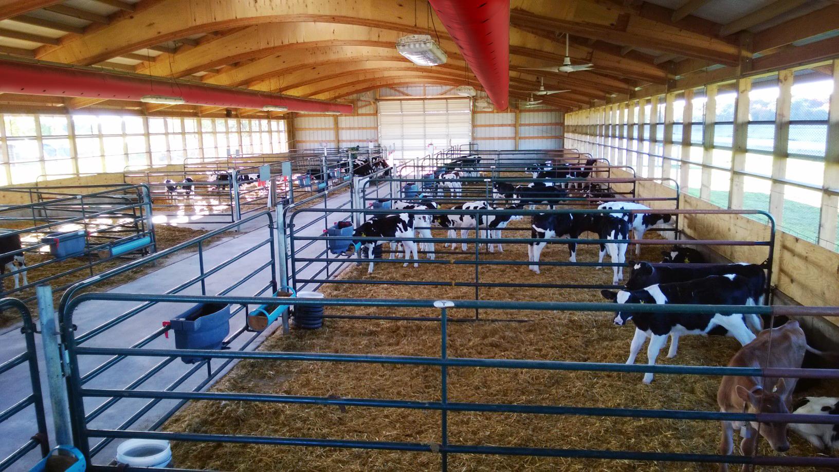 Red Cloud | Cowhouse