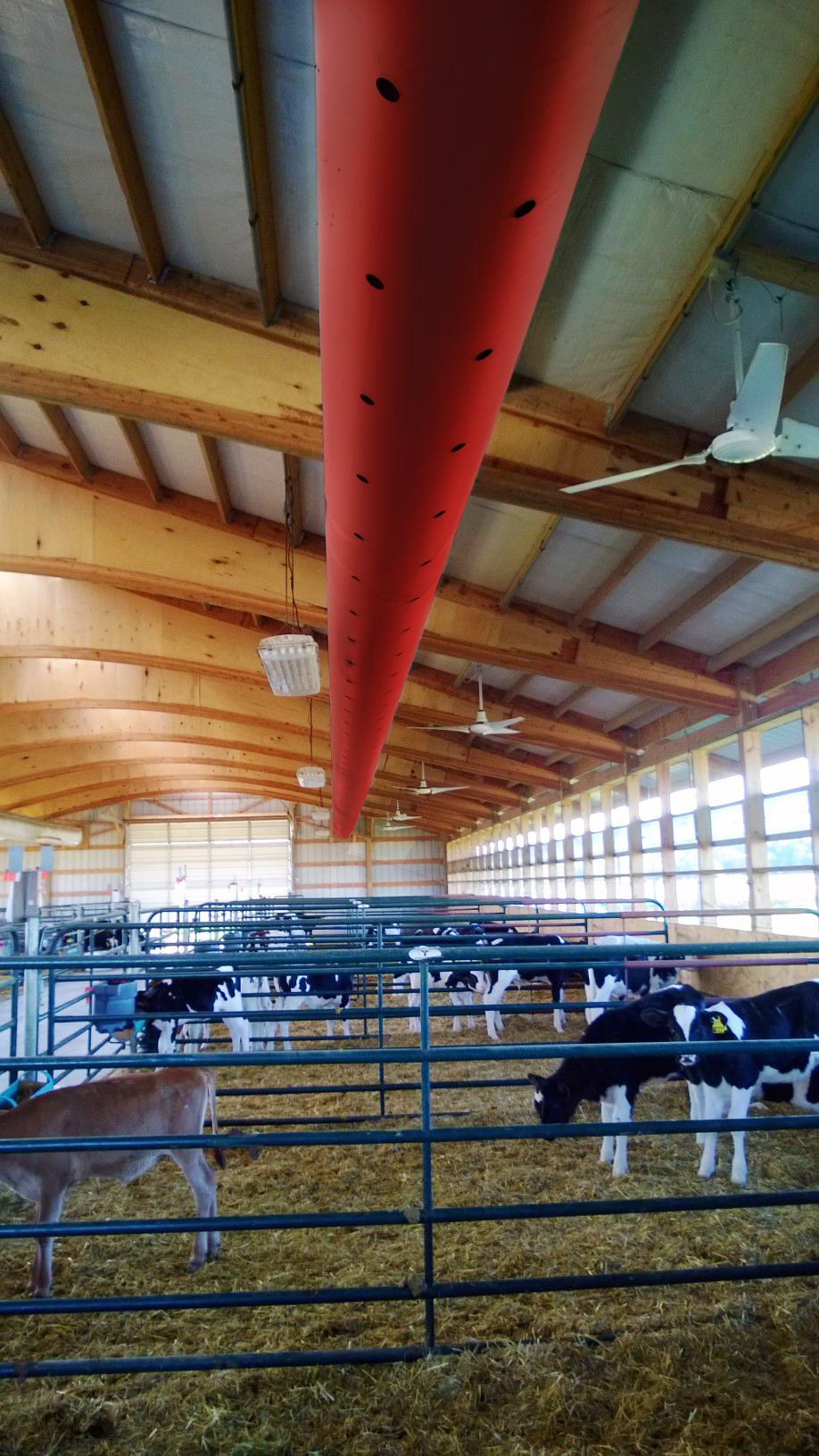 Red Cloud | Cowhouse