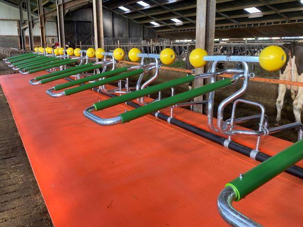 Animal Welfare Award with new stall divider 'Dreamstall' | Cowhouse