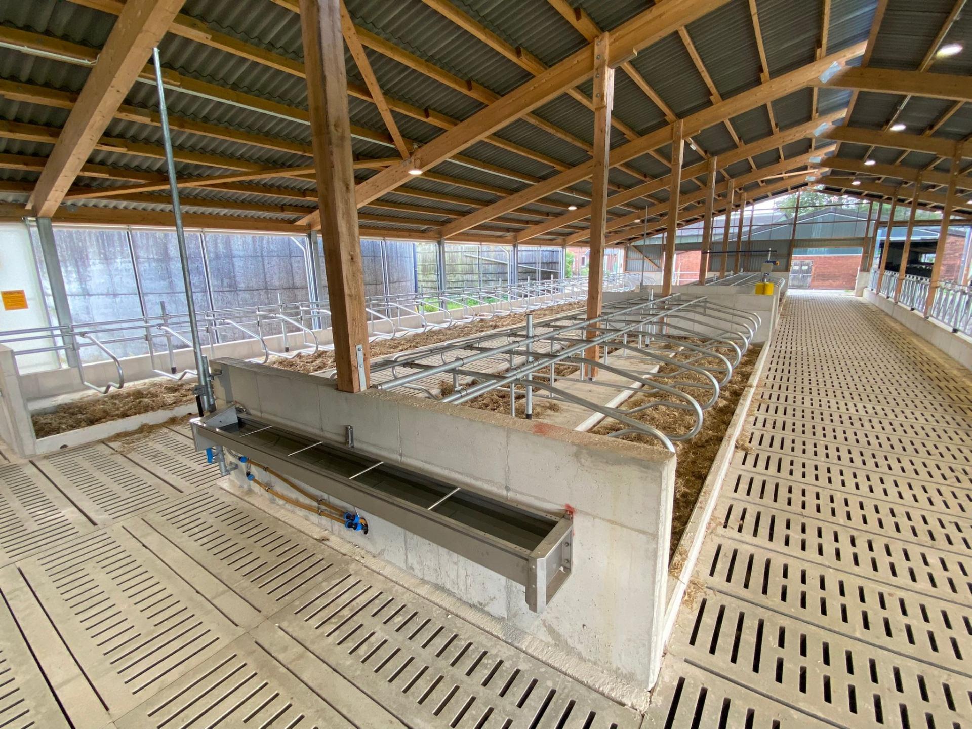 Koeien van de familie Möckelmann genieten van comfort in nieuwe stal ...