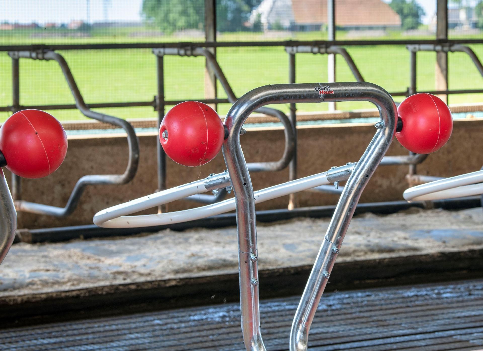 Dreamstall stall divider | Bluebear