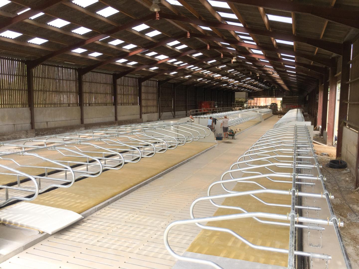 Cowhouse International B.V. K Uhmatratze Friesian Island – HYSK