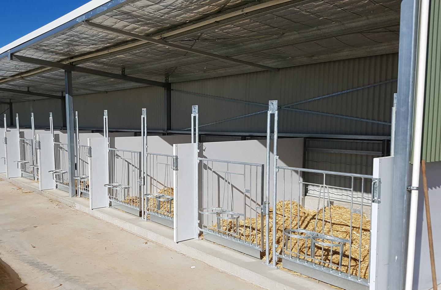 Calf Zone | Cowhouse