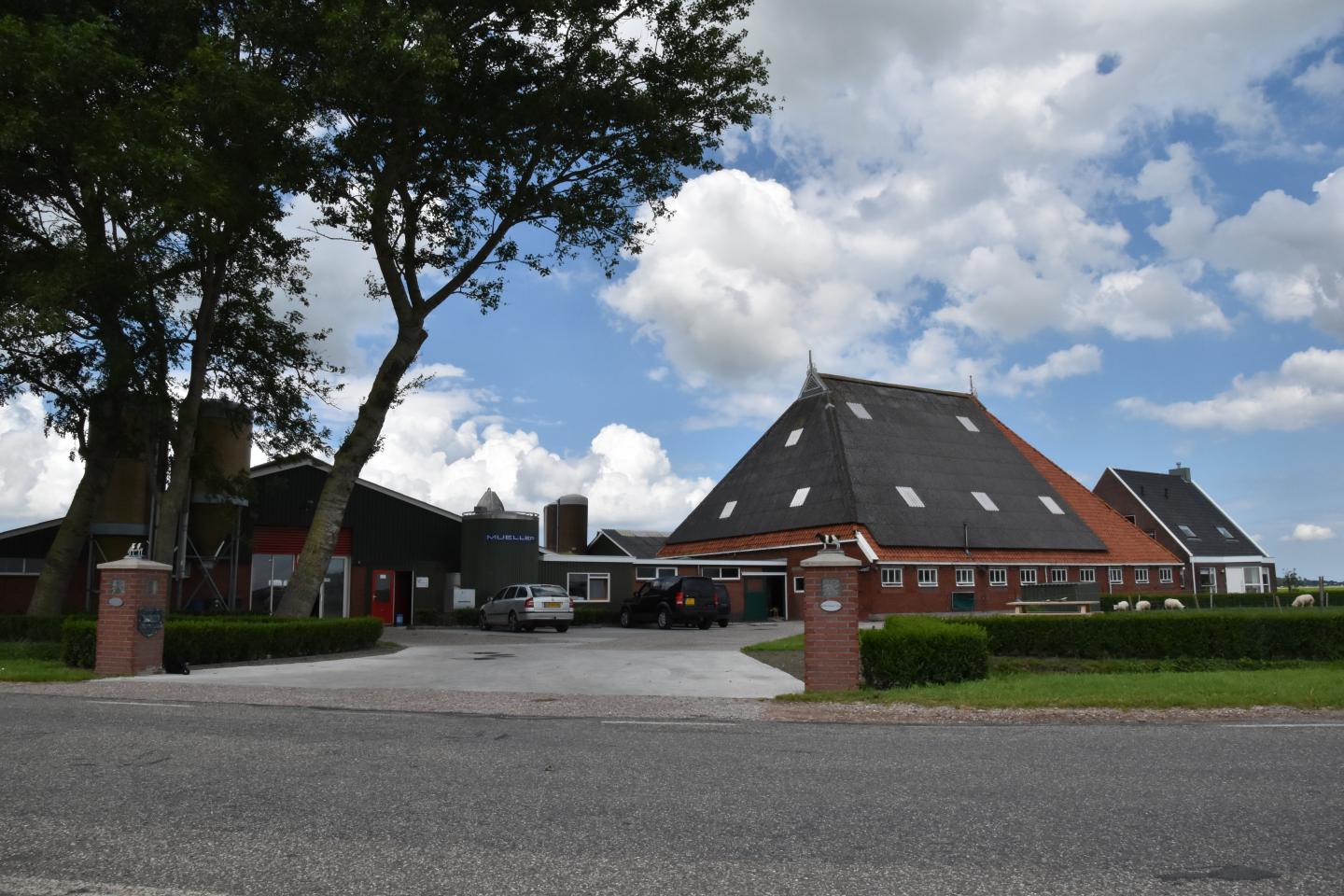 Experiences of Eelkje and Gonnie Kingma | Cowhouse