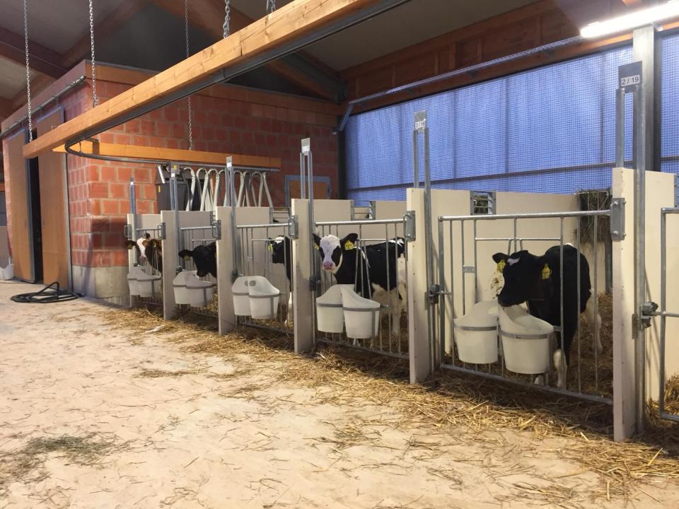 Calf Zone | Cowhouse