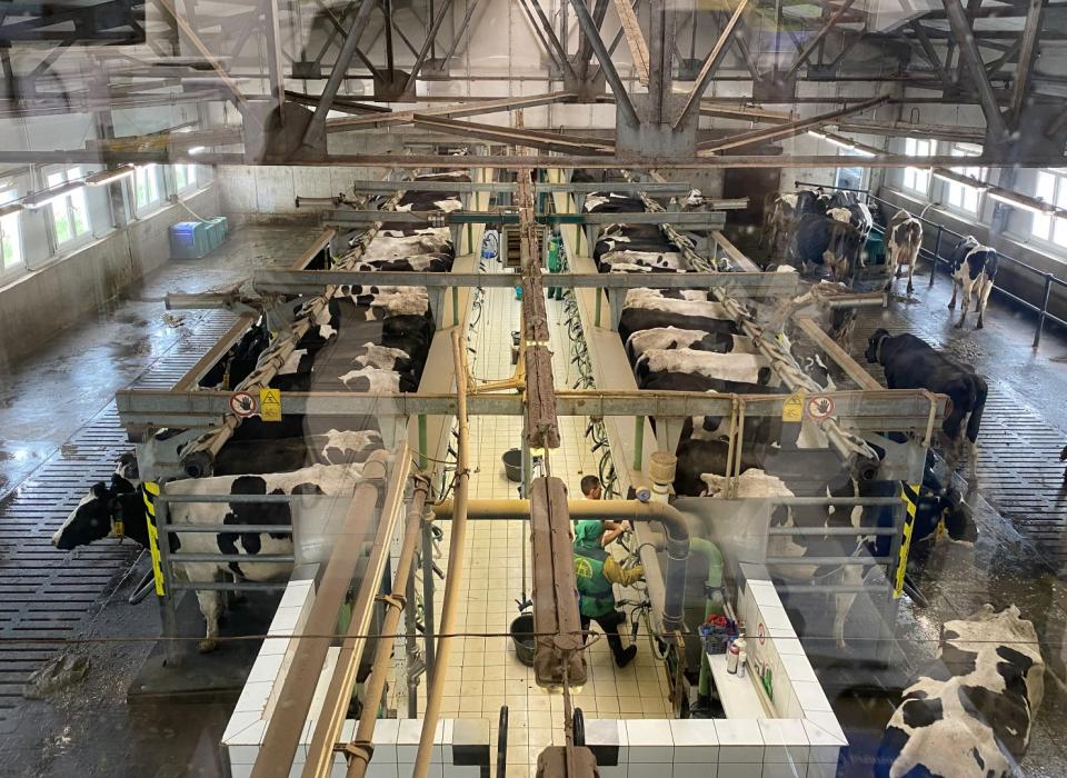 "Ons doel: Comfort en ruimte voor de koe" | Cowhouse