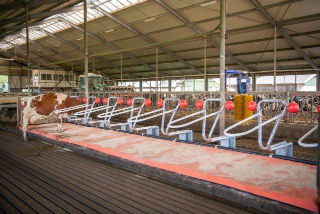 Dreamstall stall divider | Bluebear